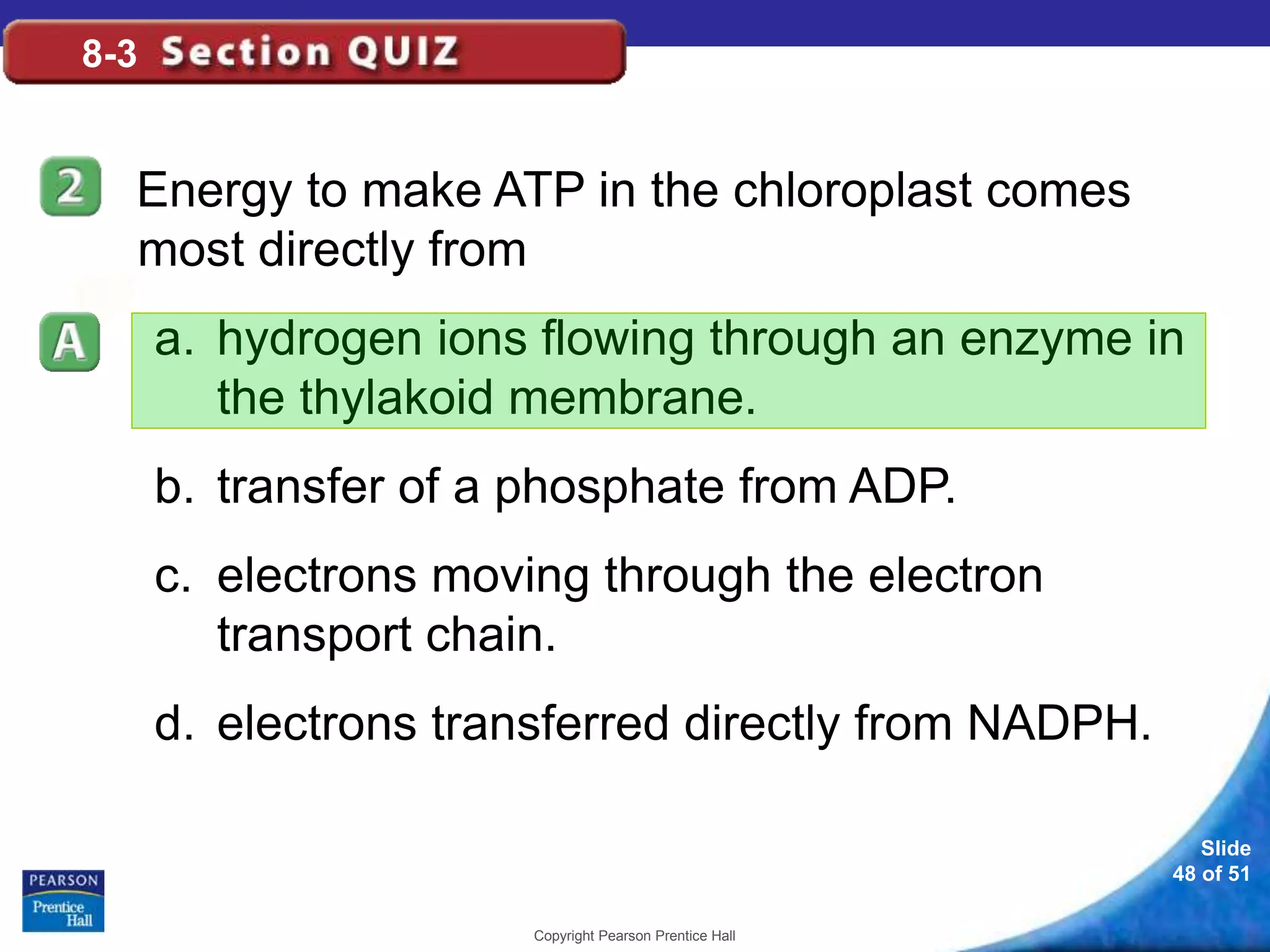 Biology 11- Photosynthesis.ppt