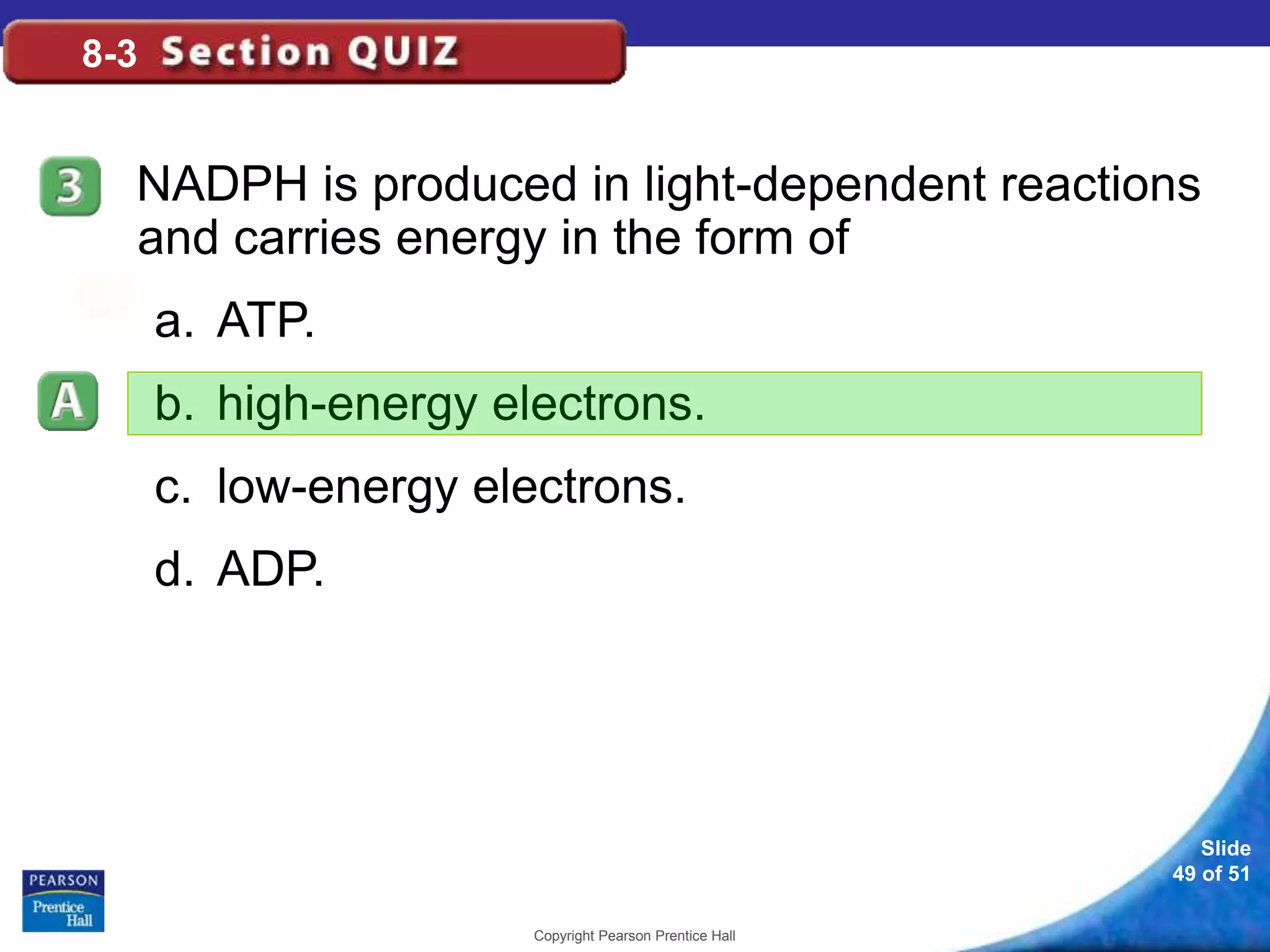 Biology 11- Photosynthesis.ppt