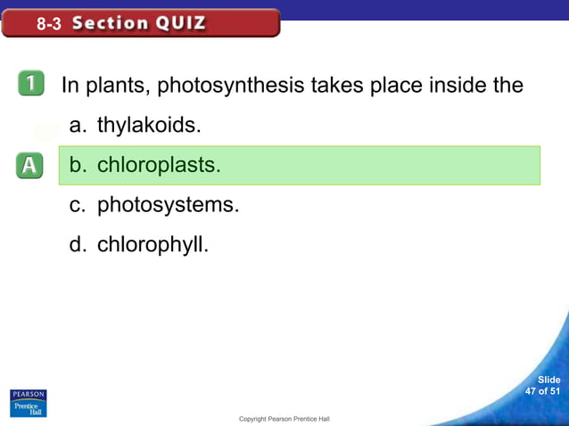 Biology 11- Photosynthesis.ppt
