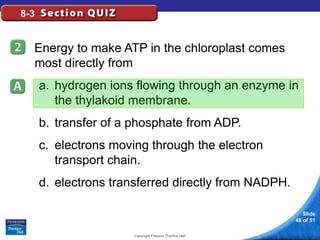 Biology 11- Photosynthesis.ppt