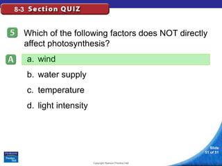 Biology 11- Photosynthesis.ppt