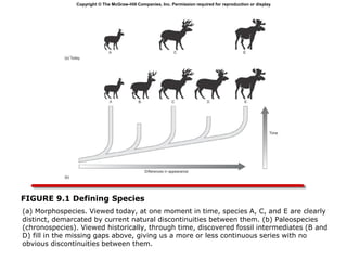Chapter09 - Spesiasi.ppt