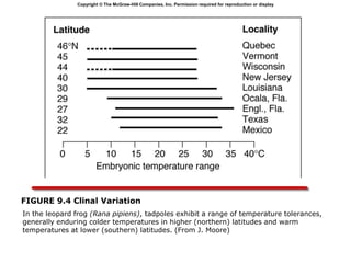 Chapter09 - Spesiasi.ppt