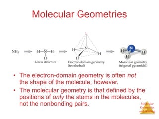 Molecular And Electron Domain Geometry