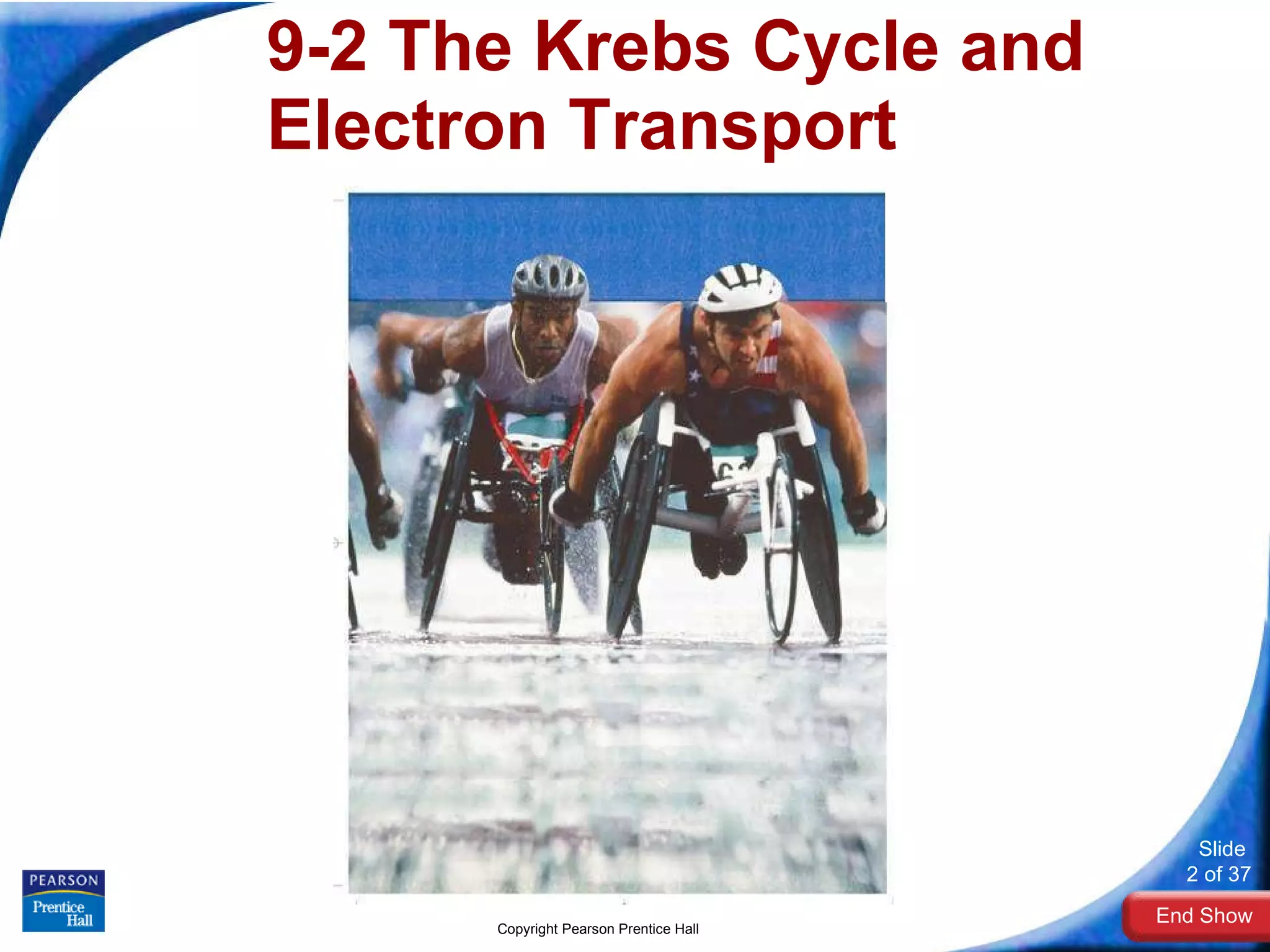 Chapter09 section02 edit | PPT