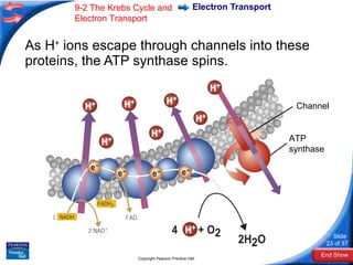 Chapter09 section02 edit | PPT