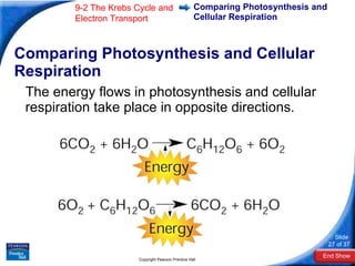 Chapter09 section02 edit | PPT
