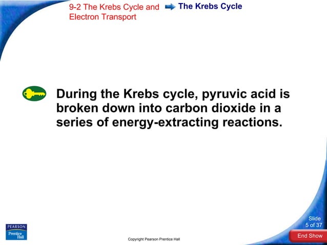 Chapter09 section02 edit | PPT