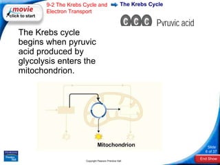 Chapter09 section02 edit | PPT