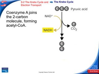 Chapter09 section02 edit | PPT