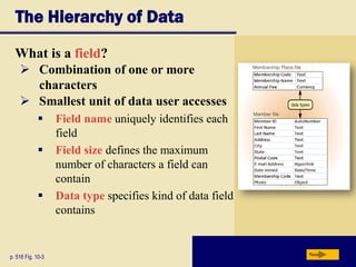 Chapter1.0 database management system | PPT