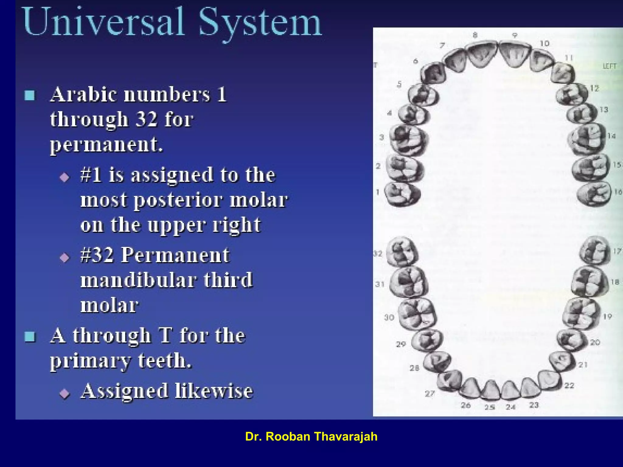Tooth Morphology - Chapter 1; Part 1 | PPT