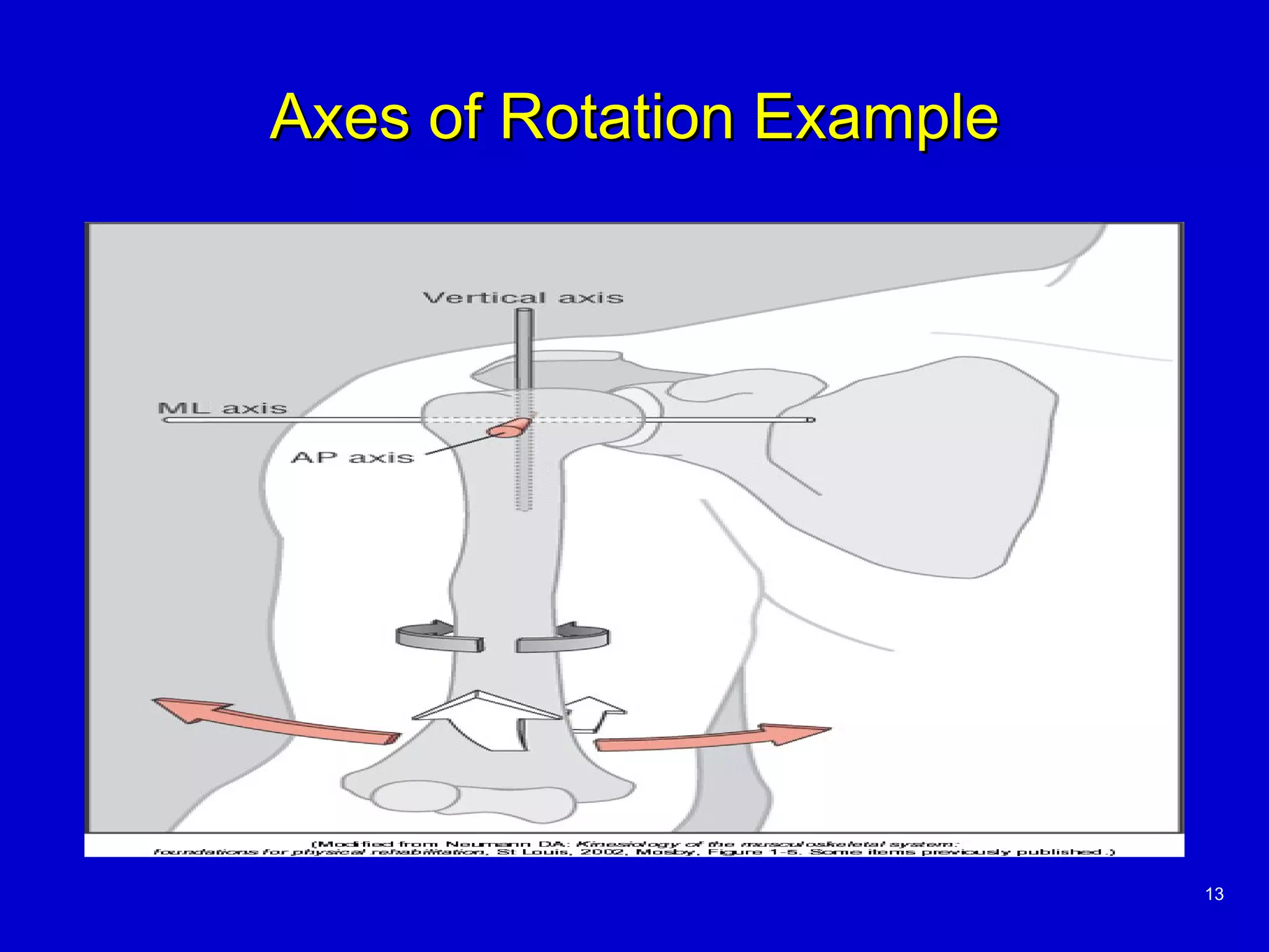 Basic Principles of Kinesiology | PPT