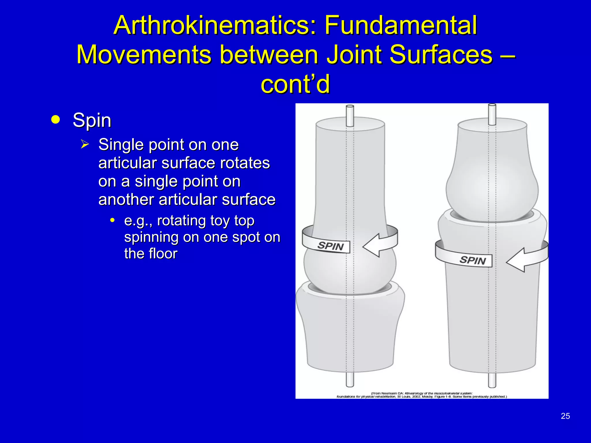 Basic Principles of Kinesiology | PPT