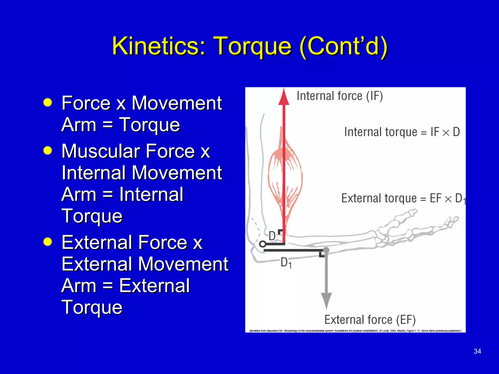 Basic Principles of Kinesiology | PPT