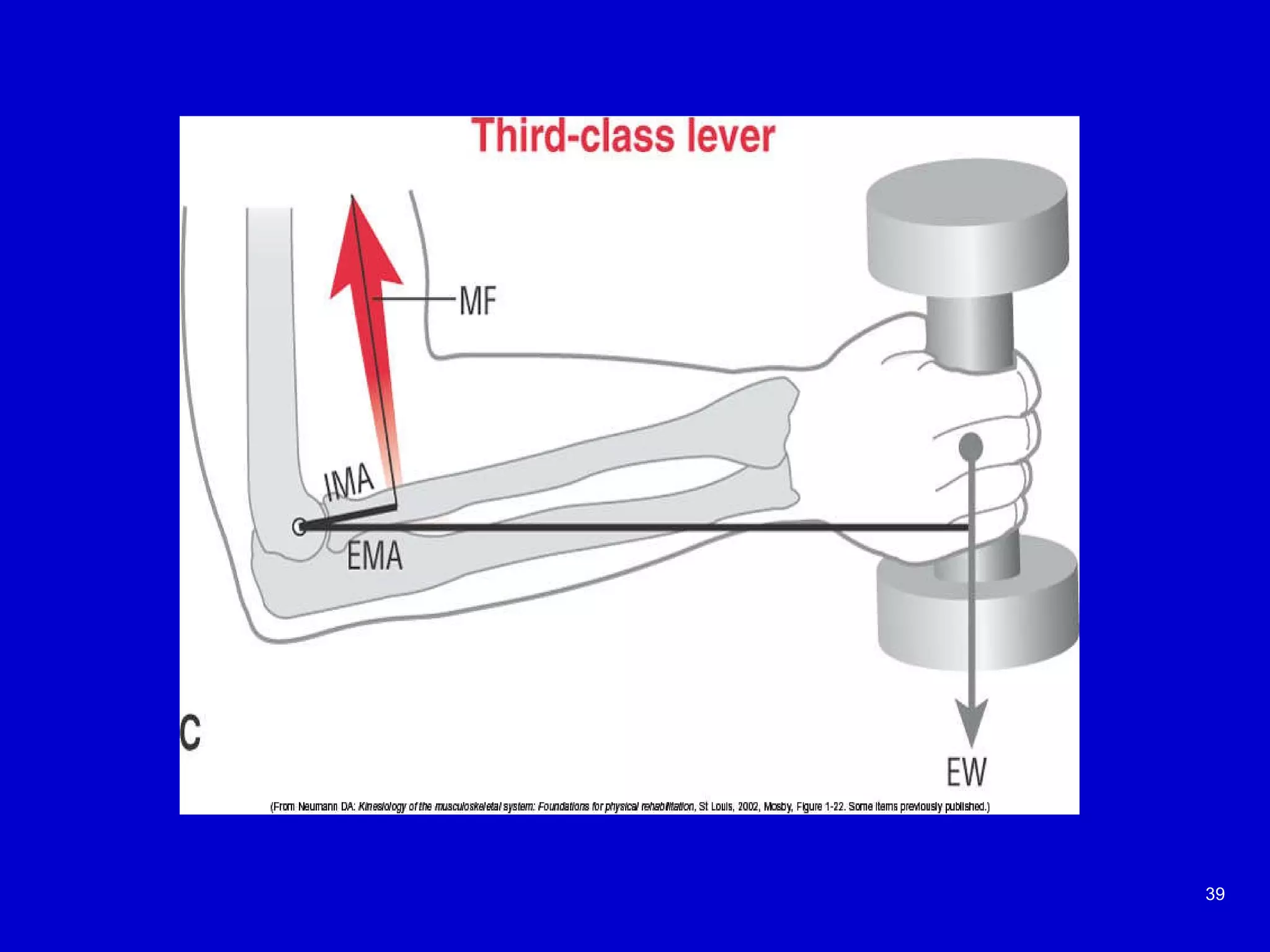 Basic Principles of Kinesiology | PPT