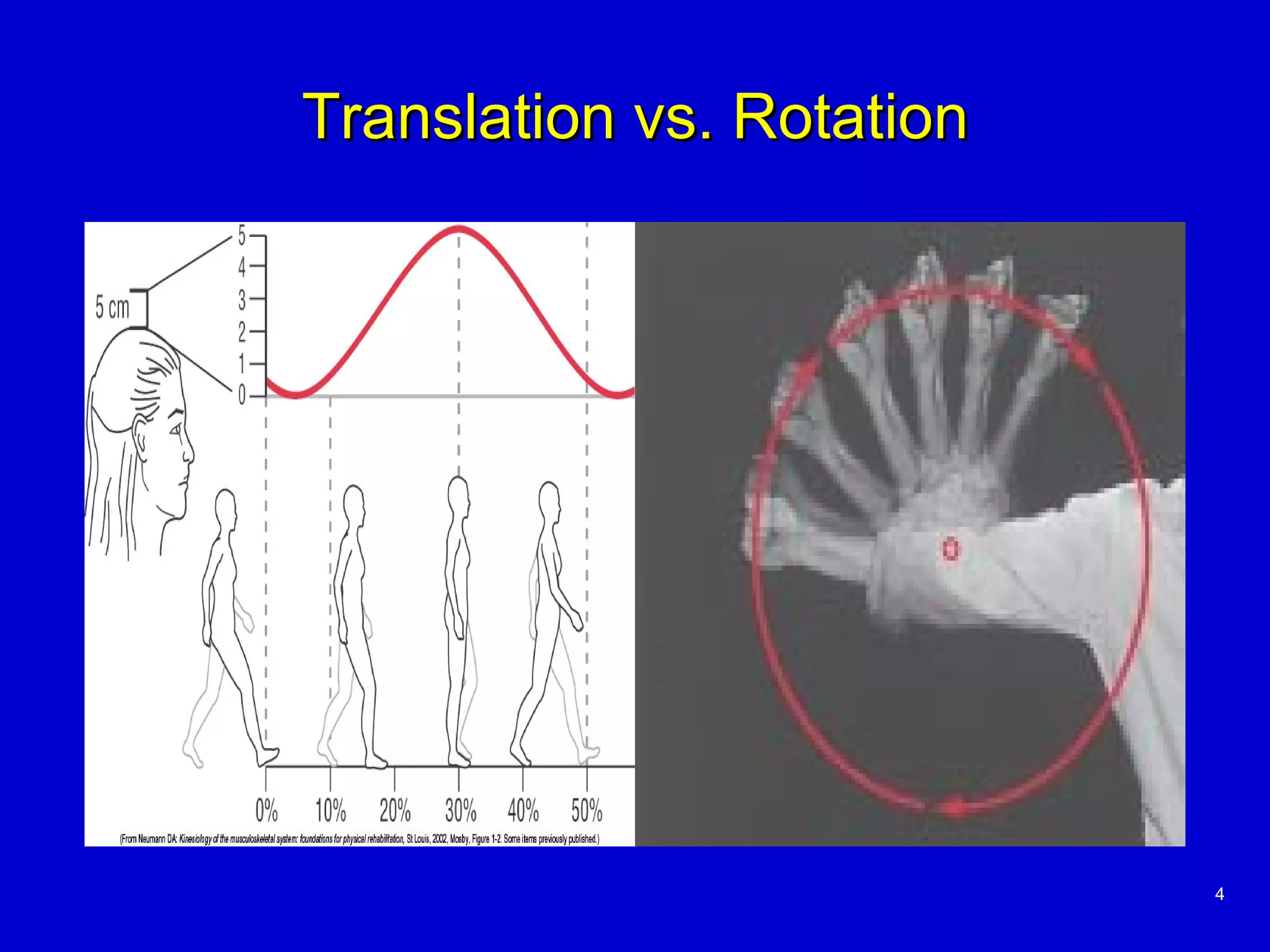 Basic Principles of Kinesiology | PPT