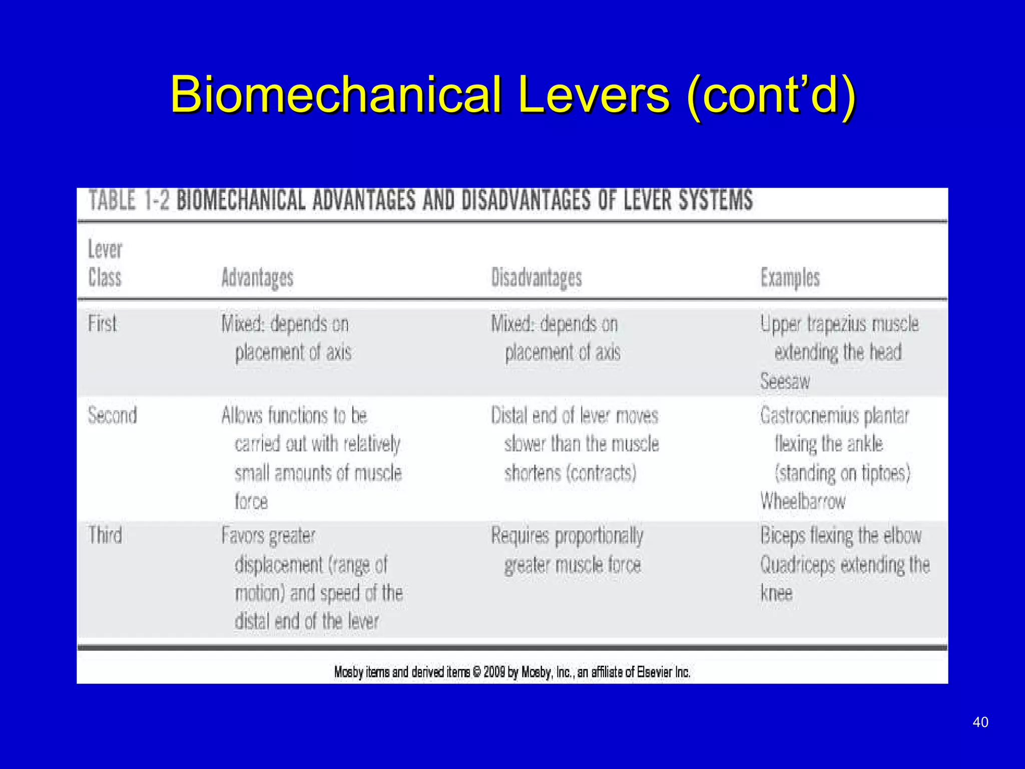Basic Principles of Kinesiology | PPT