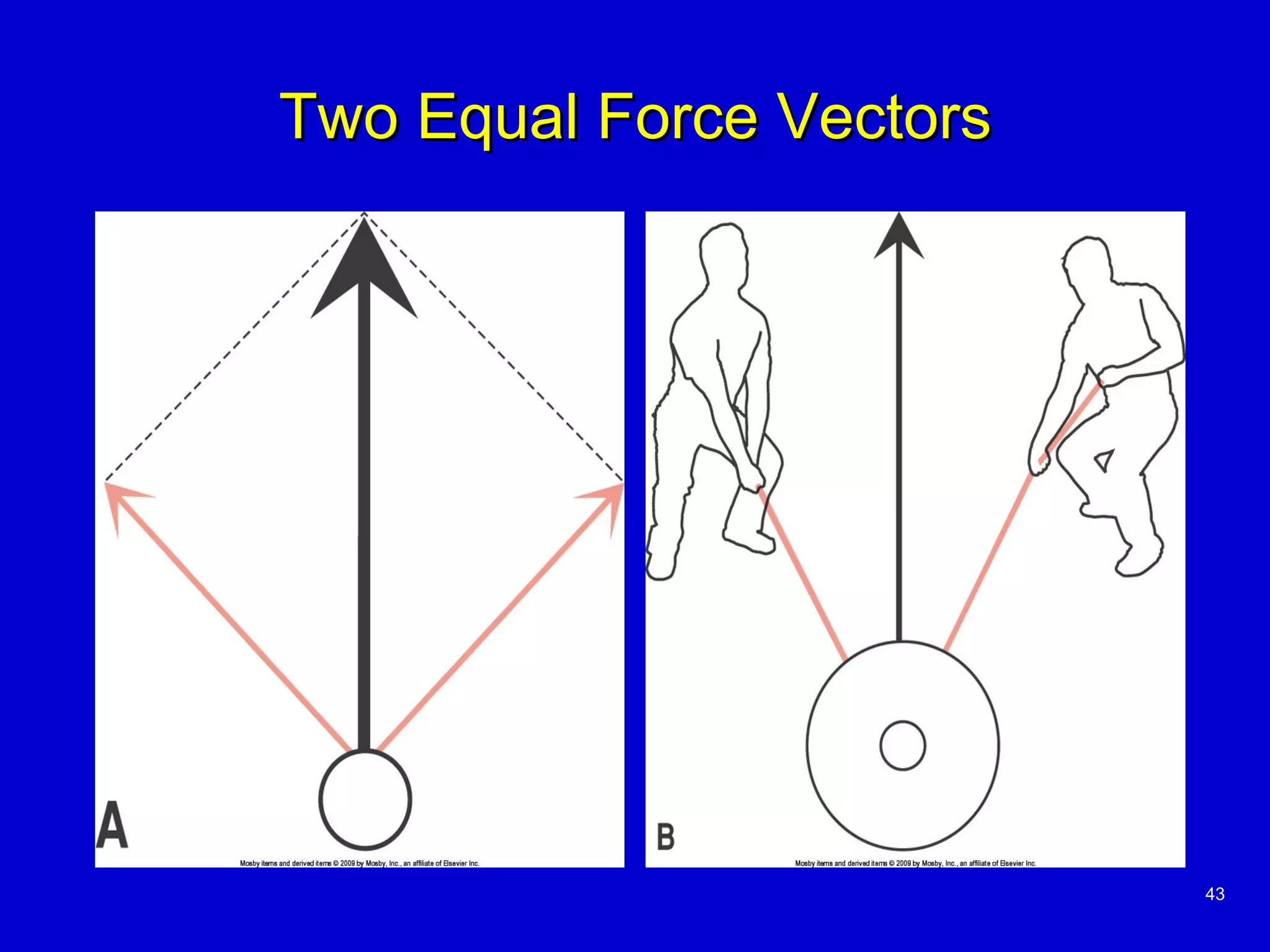 Basic Principles of Kinesiology | PPT