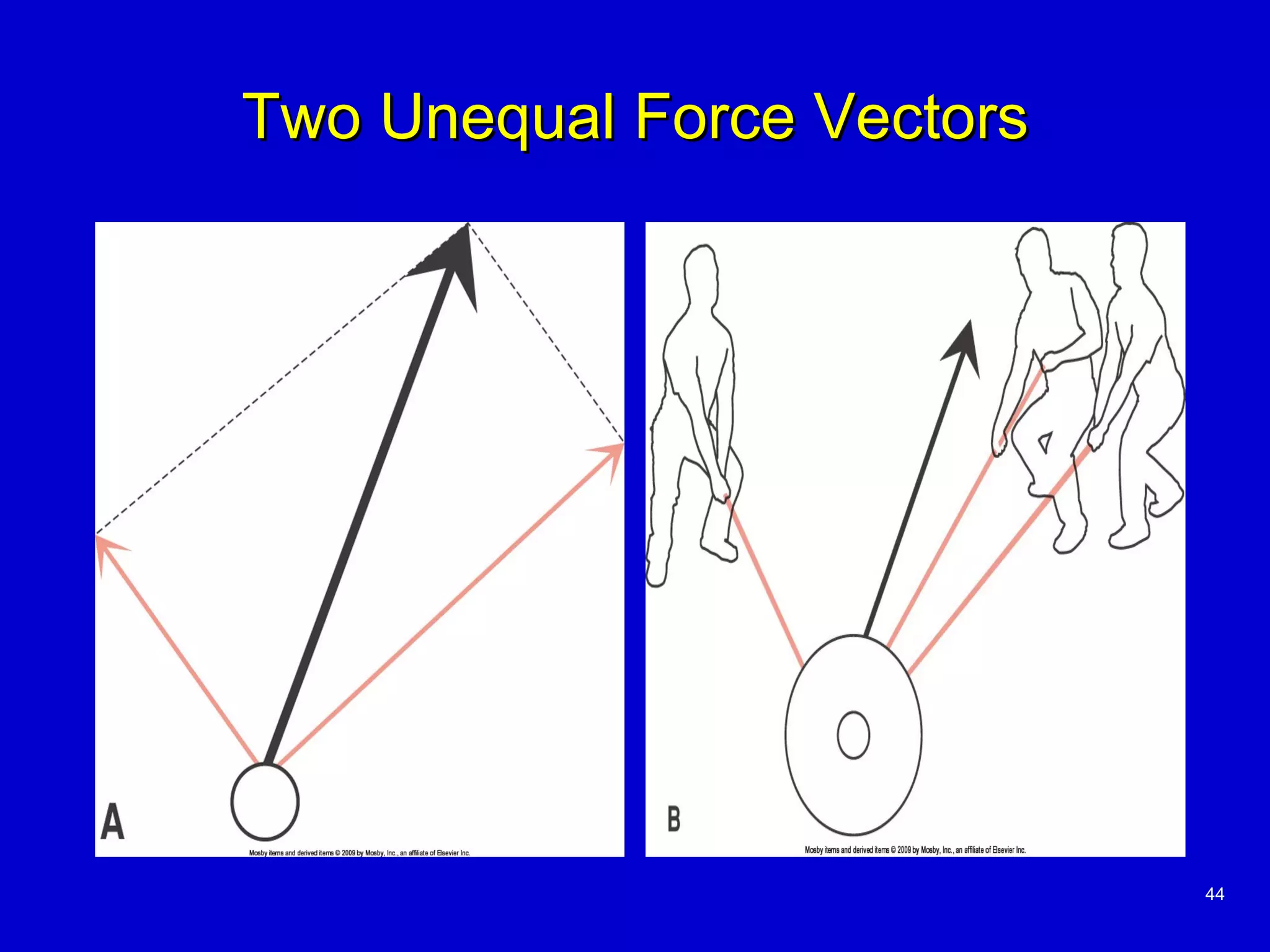 Basic Principles of Kinesiology | PPT