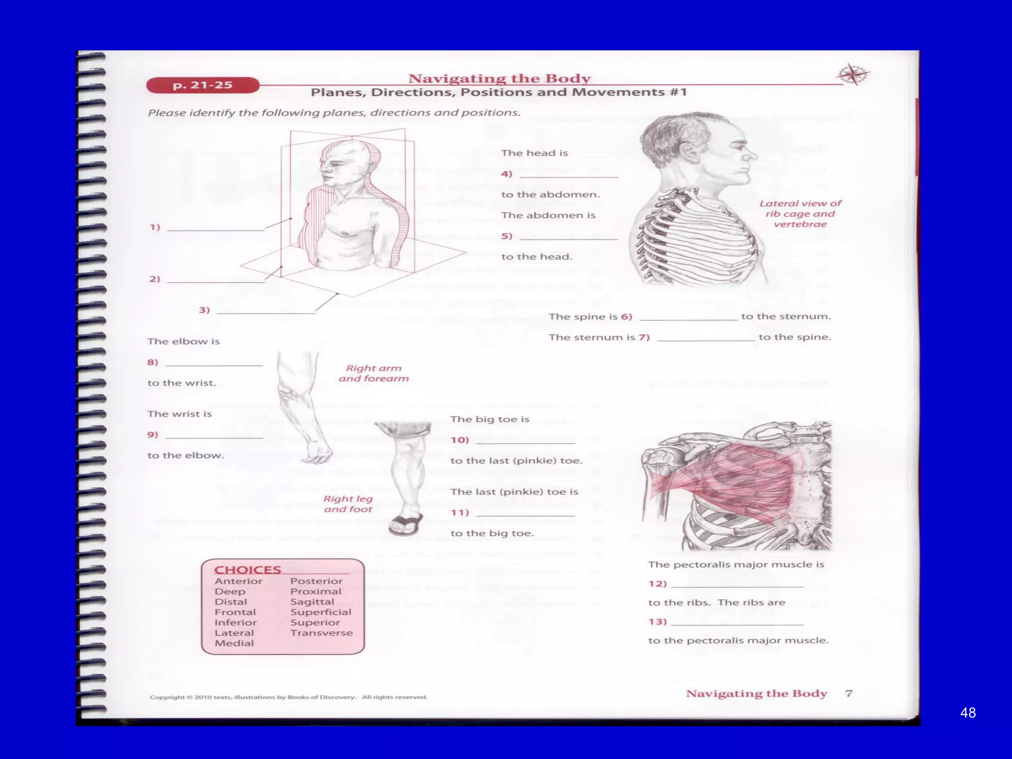 Basic Principles of Kinesiology | PPT