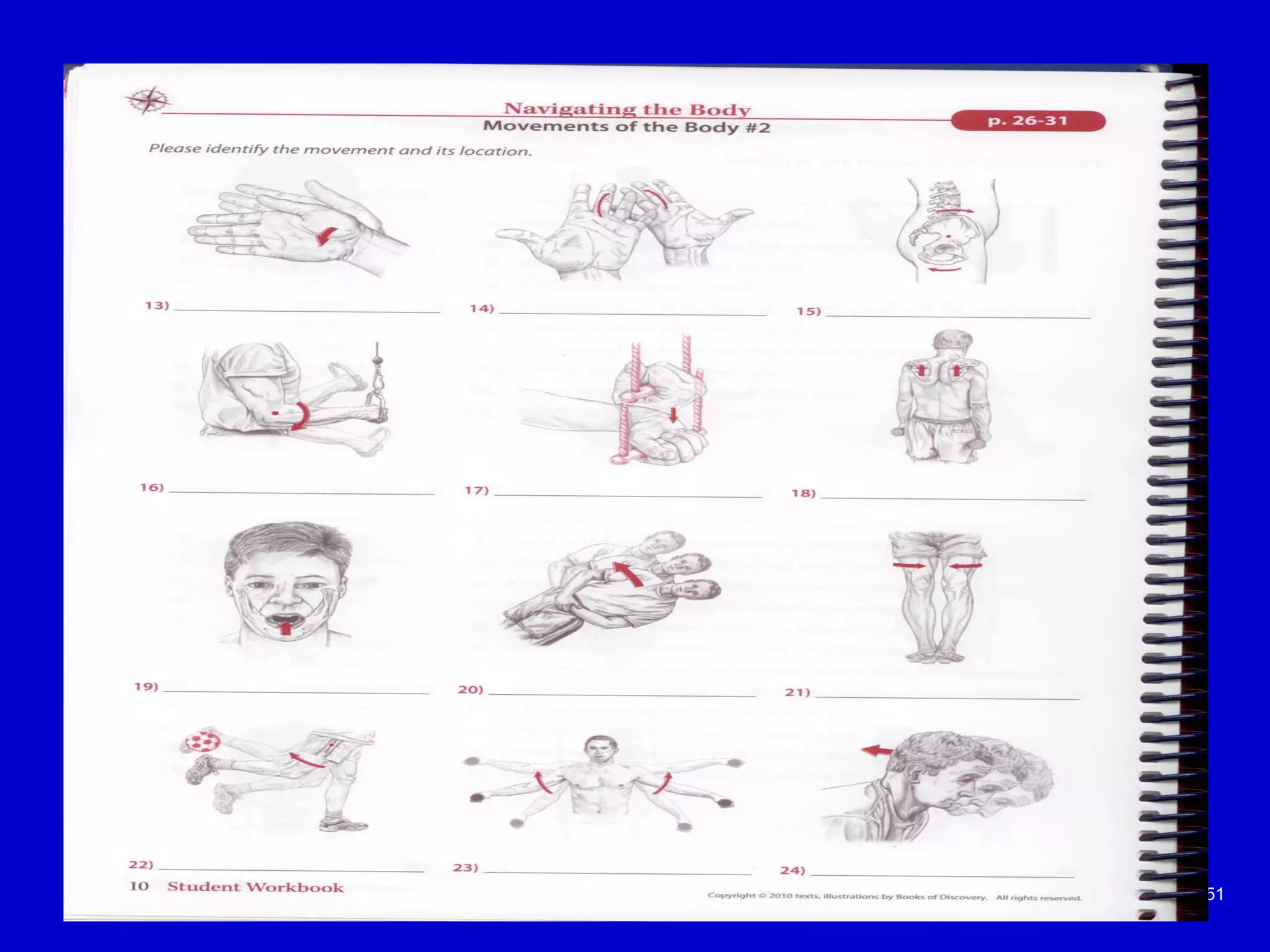 Basic Principles of Kinesiology | PPT