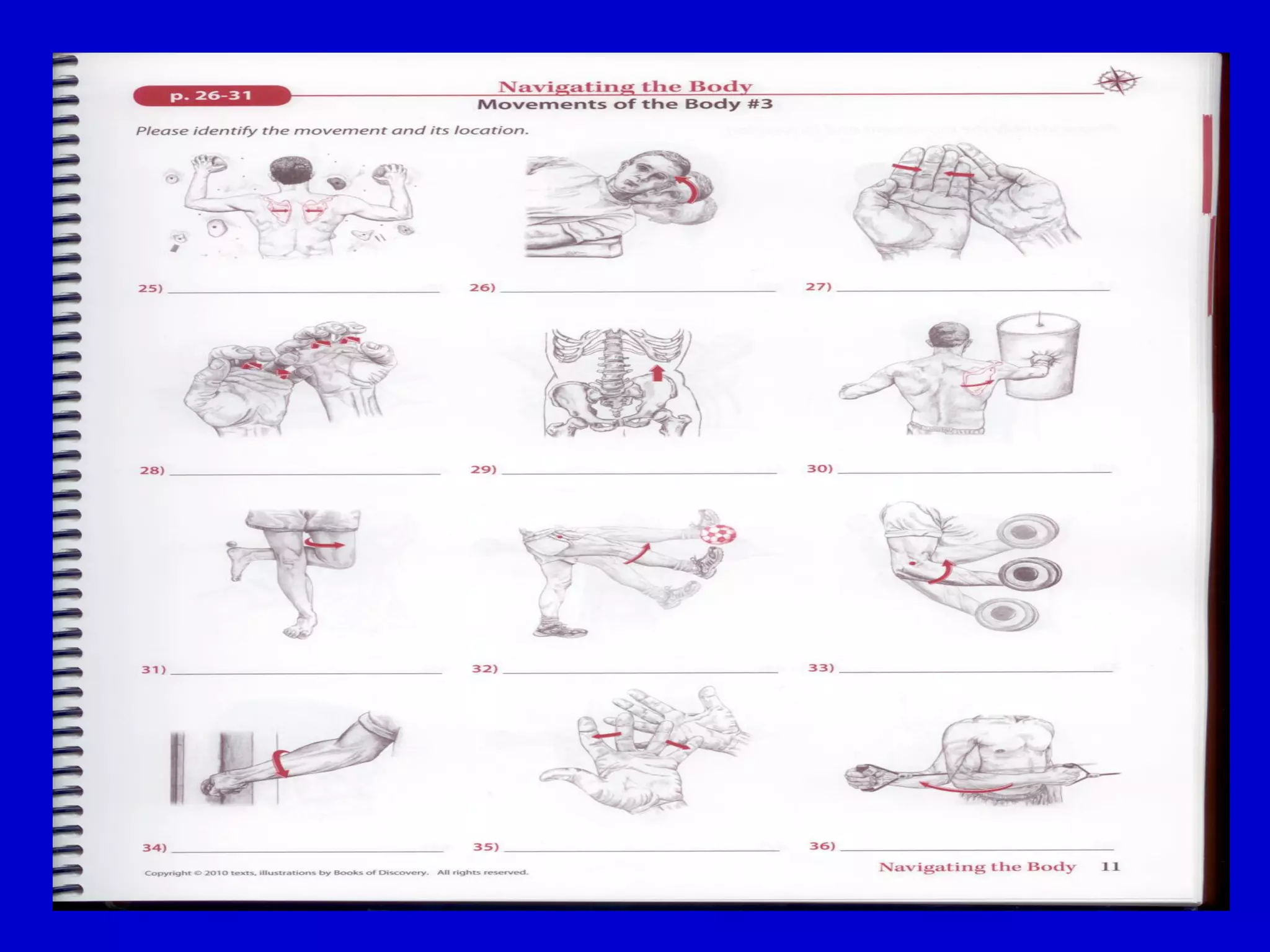 Basic Principles of Kinesiology | PPT