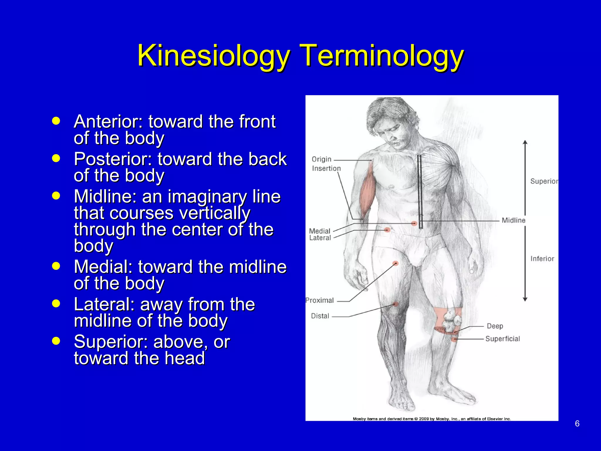 Basic Principles of Kinesiology | PPT