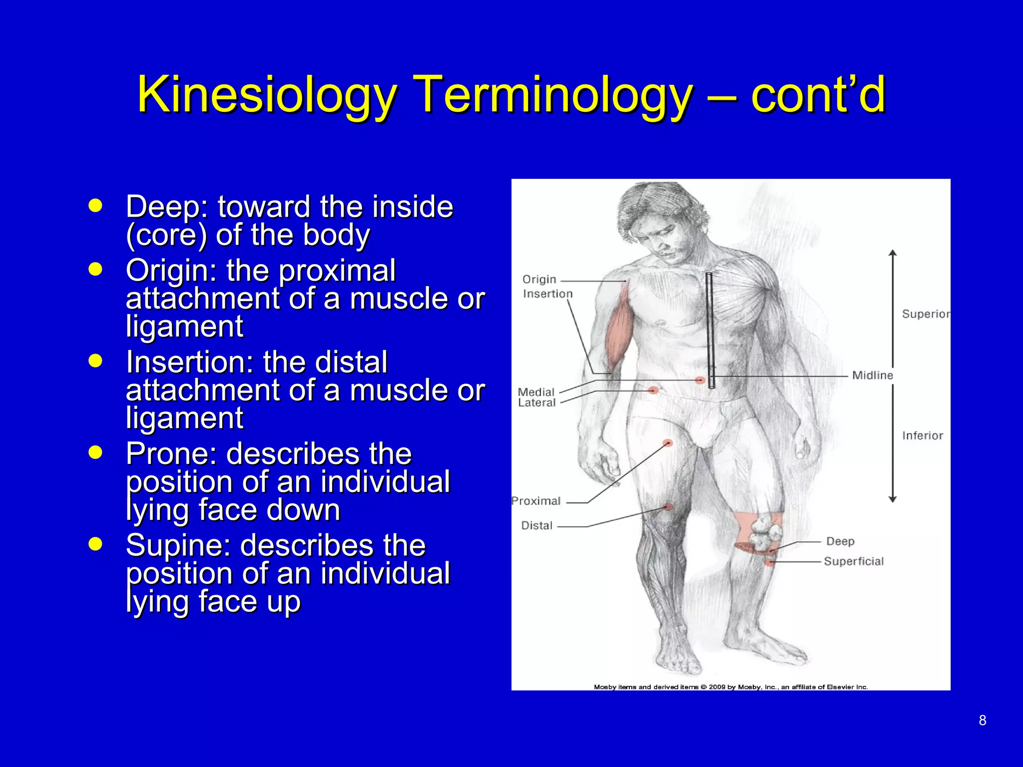 Basic Principles of Kinesiology | PPT