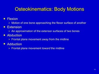 Basic Principles of Kinesiology | PPT