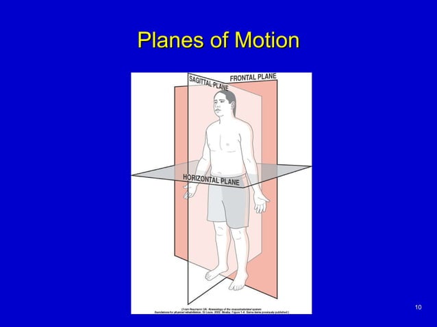 Basic Principles of Kinesiology | PPT