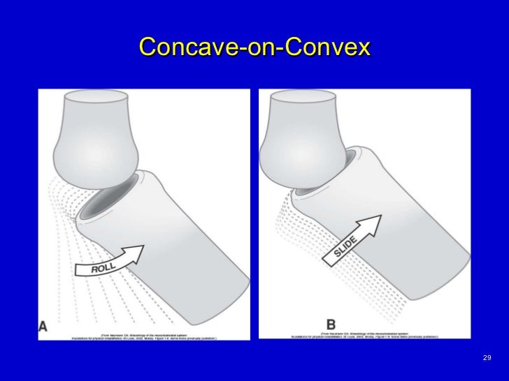 Basic Principles of Kinesiology