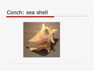 Lord of the flies - setting and main characters | PPT