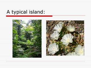 Lord of the flies - setting and main characters | PPT