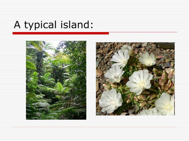 Lord of the flies - setting and main characters | PPT