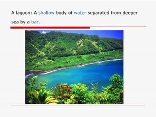 Lagoon Lord Of The Flies