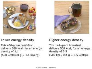 Chapter 1 NUTR | PPT