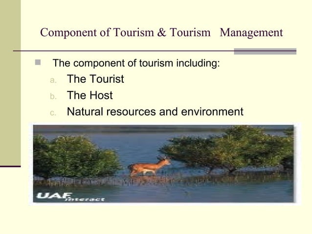 Introduction to Tourism | PPT
