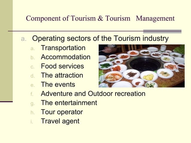 Introduction to Tourism | PPT