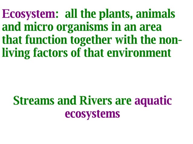 Watersheds and Wetlands | PPT | Geography | Science