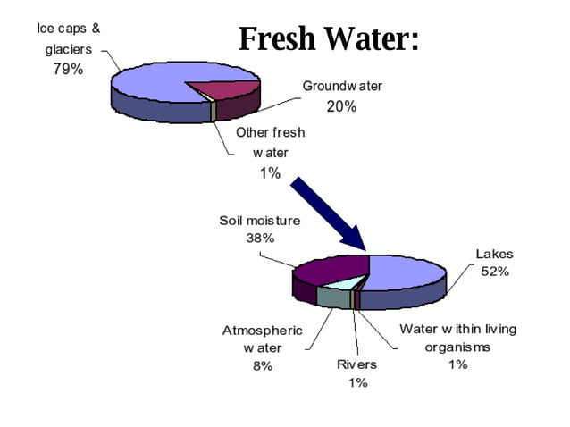 Watersheds and Wetlands | PPT | Geography | Science