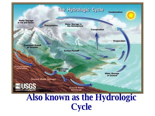 Watersheds and Wetlands | PPT | Geography | Science