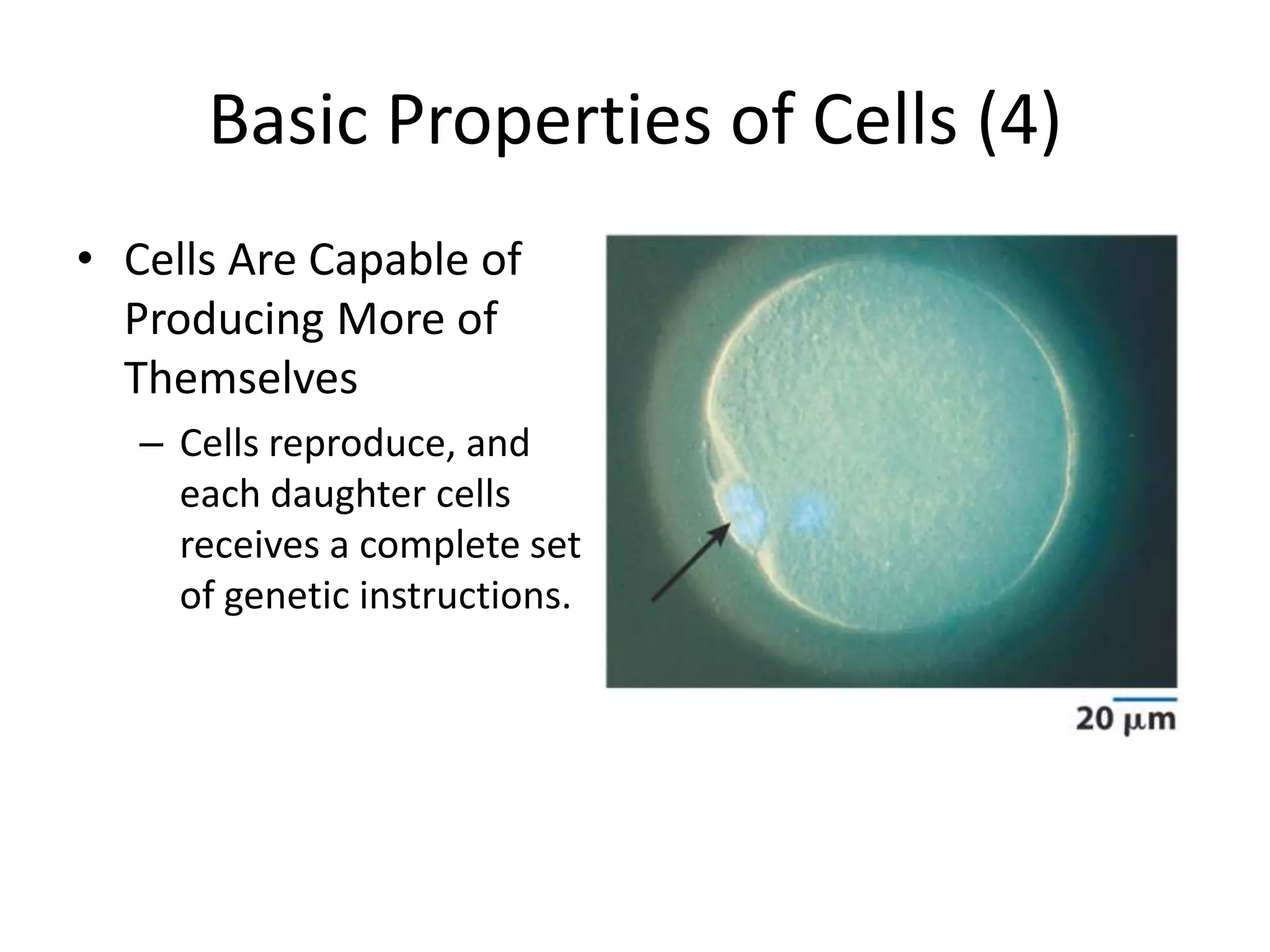 Chapter 1 cell biology intro cell | PPSX