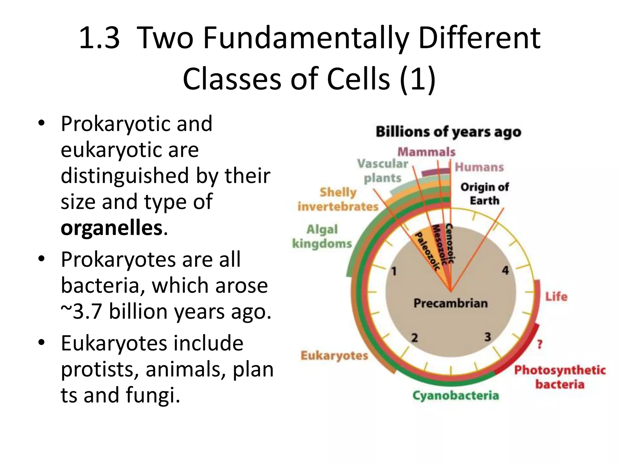 Chapter 1 cell biology intro cell | PPSX
