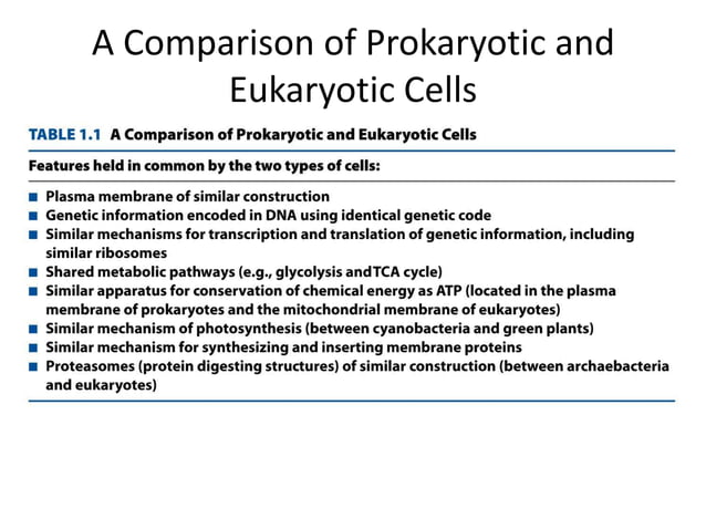 Chapter 1 cell biology intro cell | PPSX