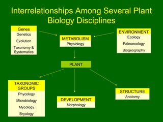 Chapter1 | PPT | Biological Sciences | Science