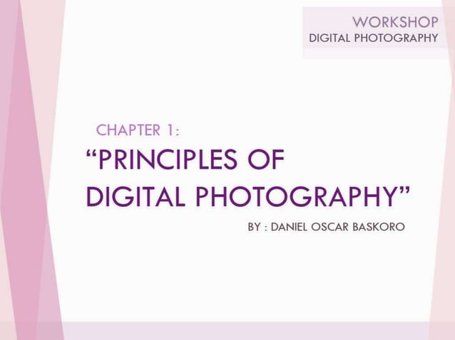 Principles Of Digital Photography | PDF