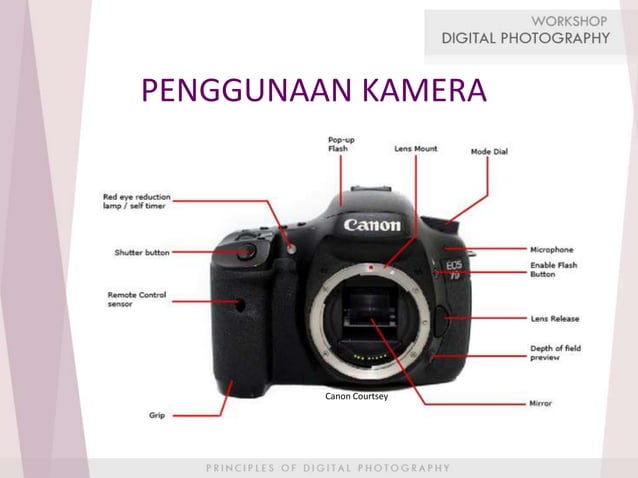 Principles Of Digital Photography | PDF