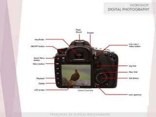 Principles Of Digital Photography | PDF