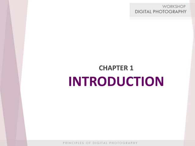 Principles Of Digital Photography | PDF